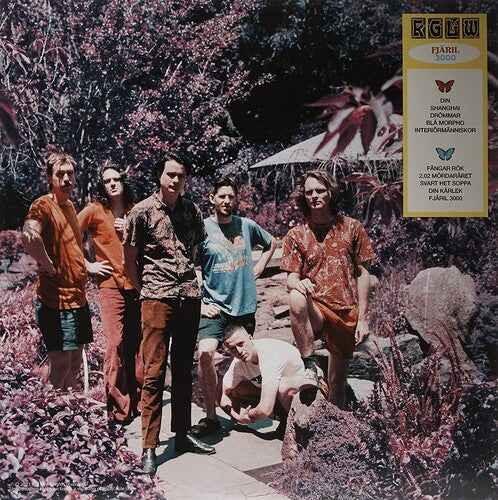 King Gizzard & the Lizard Wizard - Butterfly 3000 [Swedish] – UCR